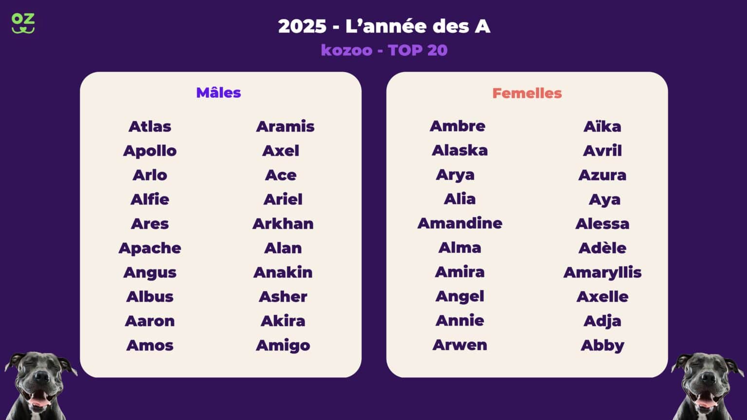 80 idées de noms : chiens et chats en A pour 2025 - kozoo